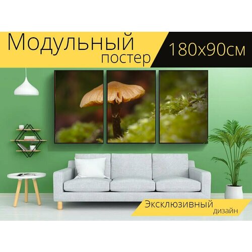 Модульный постер "Лес, гриб, макрос" 180 x 90 см. для интерьера