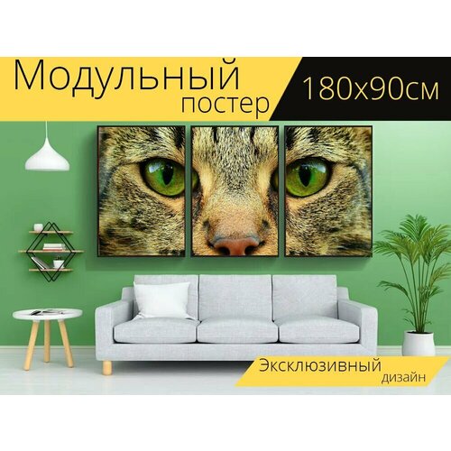 Модульный постер "Кошка, кошачий, портрет" 180 x 90 см. для интерьера