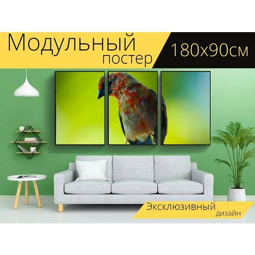 Модульный постер "Птица, сейшелы, крупный план" 180 x 90 см. для интерьера