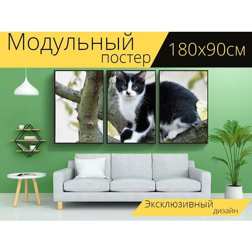Модульный постер "Котенок, кот, kočkovitý" 180 x 90 см. для интерьера