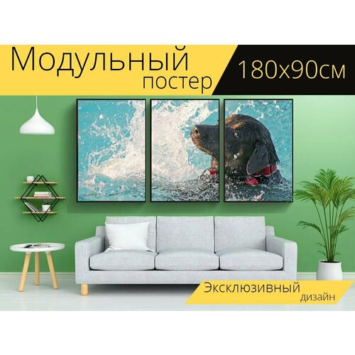 Модульный постер "Собака, плавание, бассейн" 180 x 90 см. для интерьера