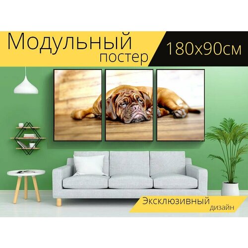Модульный постер "Собака, бордоский дог, дог" 180 x 90 см. для интерьера