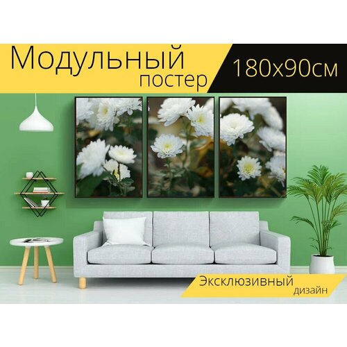 Модульный постер "Хризантемы, цветок, лепестки" 180 x 90 см. для интерьера