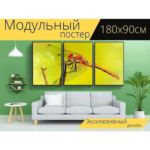 Модульный постер "Szablak желтый, девушки, стрекозы różnoskrzydłe" 180 x 90 см. для интерьера