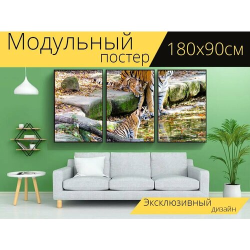 Модульный постер "Тигр, тигренок, милый" 180 x 90 см. для интерьера