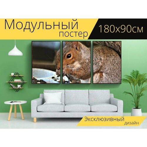 Модульный постер "Белка, животное, дикая природа" 180 x 90 см. для интерьера