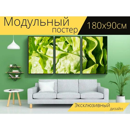Модульный постер "Салат, латук, зеленый" 180 x 90 см. для интерьера
