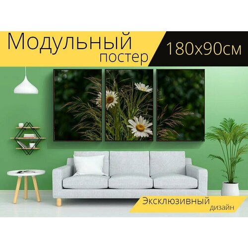 Модульный постер "Маргарит, травы, цветок" 180 x 90 см. для интерьера