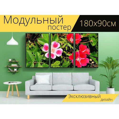 Модульный постер "Цветок, дикие розы, расцветает" 180 x 90 см. для интерьера