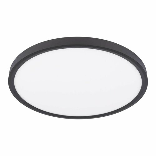 Потолочный светильник Loft IT 10227/40 Black