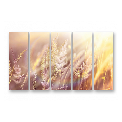 Модульная картина на холсте | Diva Kartina | Природа. Медовые травы | 150X90 см