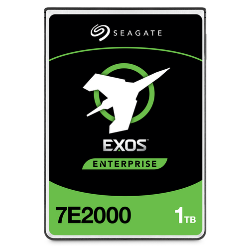 Жесткий диск SATA Seagate ST1000NX0313