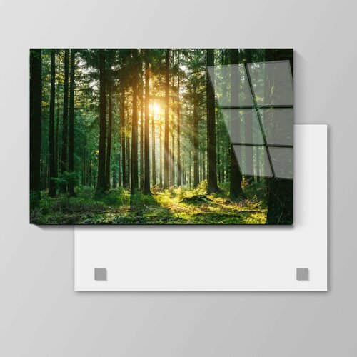 Картина на стекле - "Лучи солнца в лесу" размер 60-40 см