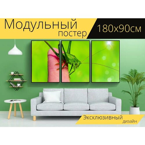 Модульный постер "Кузнечик зеленый, prostoskrzydłe, насекомое" 180 x 90 см. для интерьера