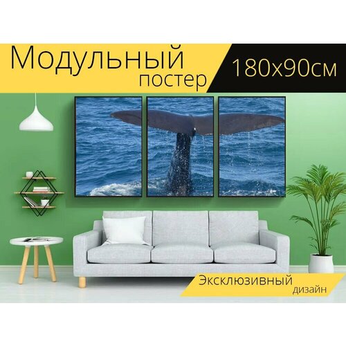 Модульный постер "Кашалот, случайность, наблюдение за китами" 180 x 90 см. для интерьера