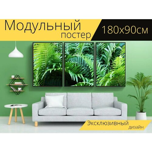 Модульный постер "Папоротник, листья папоротника, растение папоротник" 180 x 90 см. для интерьера