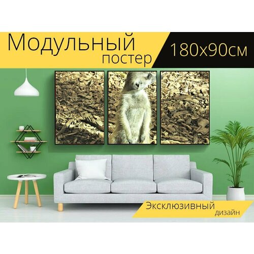 Модульный постер "Простой кот, семья мангустов, зоопарк" 180 x 90 см. для интерьера