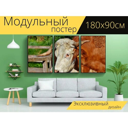Модульный постер "Бык, говядина, жвачный" 180 x 90 см. для интерьера