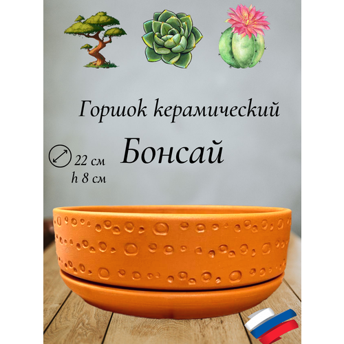 Керамический горшок "Бонсай - Дорс" для бонсай, кактусов и суккулентов, диаметр 22, высота 8 см, терракот