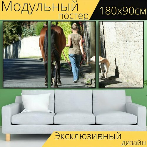 Модульный постер "Лошадь, собака, набережная" 180 x 90 см. для интерьера