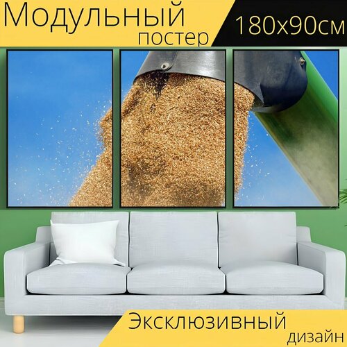 Модульный постер "Пшеница, зерно, зерна пшеницы" 180 x 90 см. для интерьера