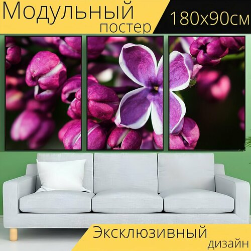 Модульный постер "Сирень, цветок, фиолетовый" 180 x 90 см. для интерьера