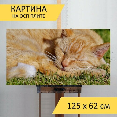 Картина на ОСП 125х62 см. "Кот, спит, красноватый" горизонтальная, для интерьера, с креплениями