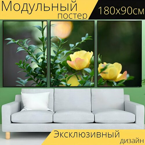 Модульный постер "Роза, желтый, цветок" 180 x 90 см. для интерьера