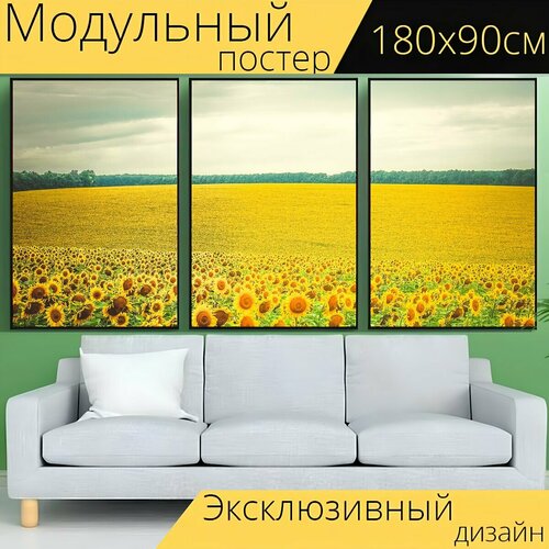 Модульный постер "Подсолнух, цветы, желтый" 180 x 90 см. для интерьера