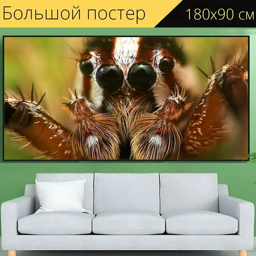 Большой постер "Пауки, насекомое, макрос" 180 x 90 см. для интерьера