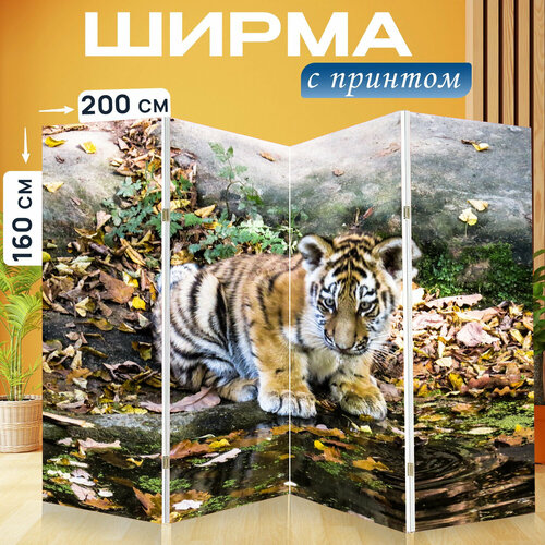 Ширма перегородка с принтом "Тигр, тигренок, милый" на холсте - 200x160 см. для зонирования, раскладная