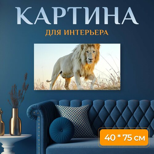 Картина на холсте "Львы самцы, мужчина, большой кот" на подрамнике 75х40 см. для интерьера