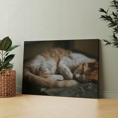 Картина на холсте (кошка рыжий кот лежит спящие) 30x40 см/для интерьера/в комнату/на стену/в подарок