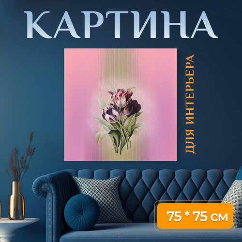 Картина на холсте "Справочная информация, тюльпаны, розовый" на подрамнике 75х75 см. для интерьера