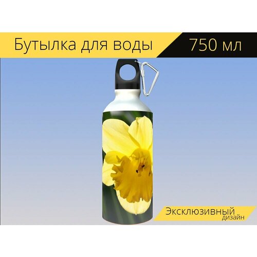 Бутылка фляга для воды "Нарцисс, пасхальный колокол, весенний цветок" 750 мл. с карабином и принтом