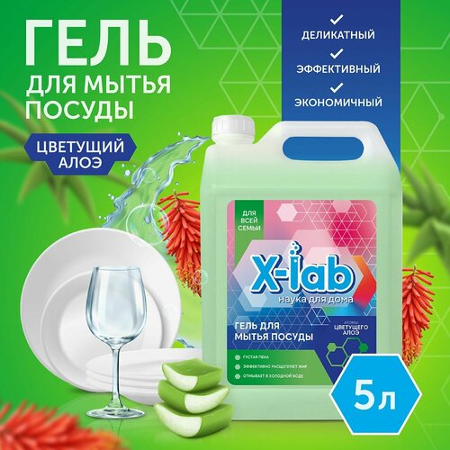 Гель для мытья посуды Атомы цветущего алоэ 5л, X-lab