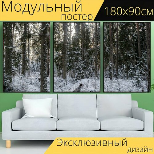 Модульный постер "Зима, день, в лесу" 180 x 90 см. для интерьера
