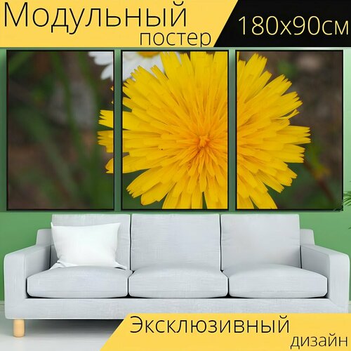 Модульный постер "Цветок, ноготки, желтый" 180 x 90 см. для интерьера