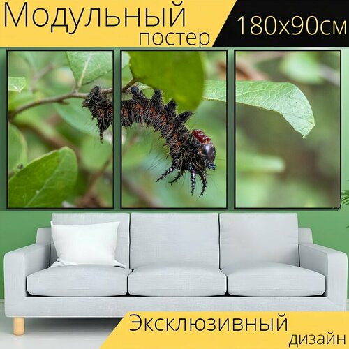 Модульный постер "Гусеница, насекомое, жук" 180 x 90 см. для интерьера