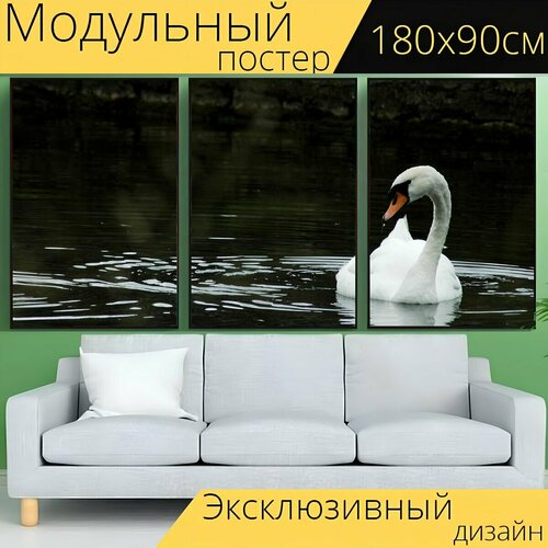 Модульный постер "Лебедь, озеро, природа" 180 x 90 см. для интерьера