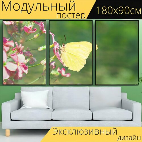 Модульный постер "Сера бабочка, цветы, красивая" 180 x 90 см. для интерьера