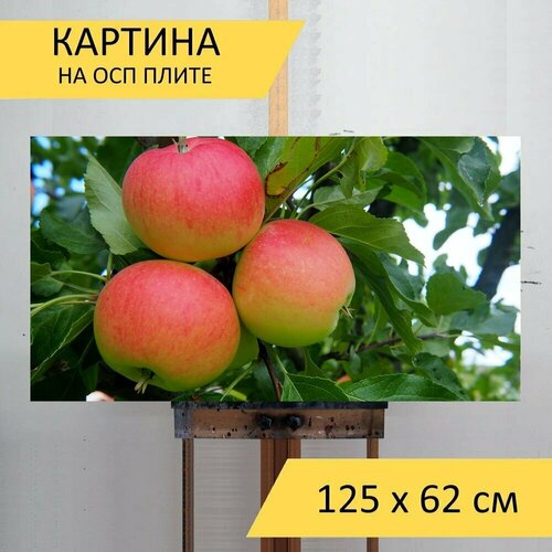 Картина на ОСП 125х62 см. "Яблоко, яблоки, фрукты" горизонтальная, для интерьера, с креплениями