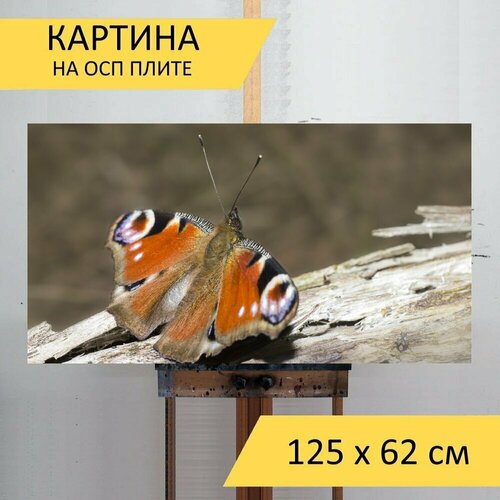 Картина на ОСП 125х62 см. "Европейский павлин, павлиний, насекомое" горизонтальная, для интерьера, с креплениями