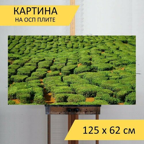 Картина на ОСП 125х62 см. "Чай, поле, крошечное дерево" горизонтальная, для интерьера, с креплениями