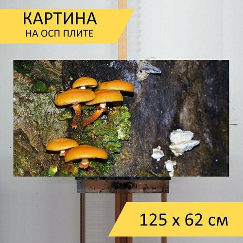 Картина на ОСП 125х62 см. "Природа, грибы, пень" горизонтальная, для интерьера, с креплениями