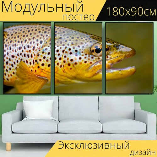 Модульный постер "Рыбы, форель, кумжа" 180 x 90 см. для интерьера