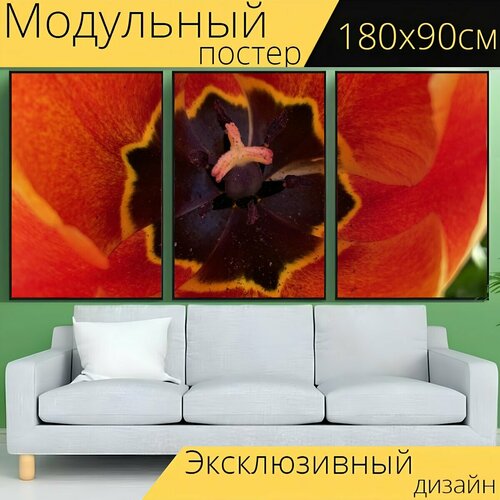 Модульный постер "Тюльпан, апельсин, цветок" 180 x 90 см. для интерьера
