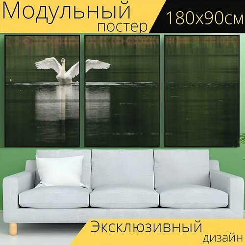 Модульный постер "Лебедь, озеро, крыло" 180 x 90 см. для интерьера
