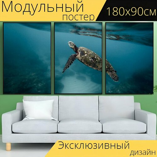 Модульный постер "Животное, черепаха, водный" 180 x 90 см. для интерьера