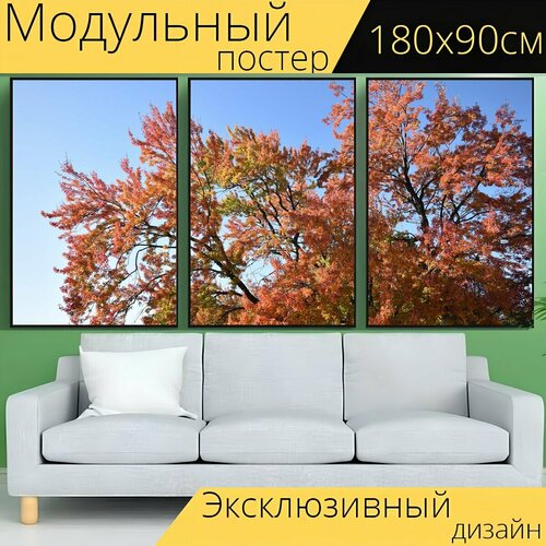 Модульный постер "Осень, листья, лес" 180 x 90 см. для интерьера